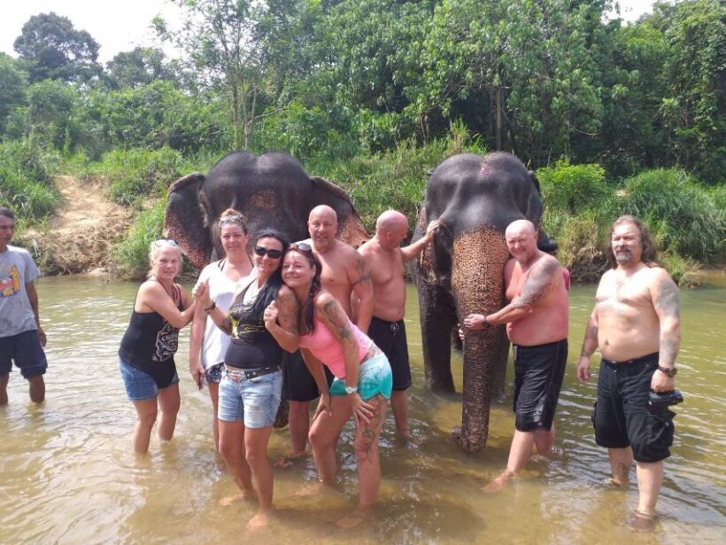 Krabi: Tour of Elephant Care House and Tiger Cave Temple - The Sum Up
