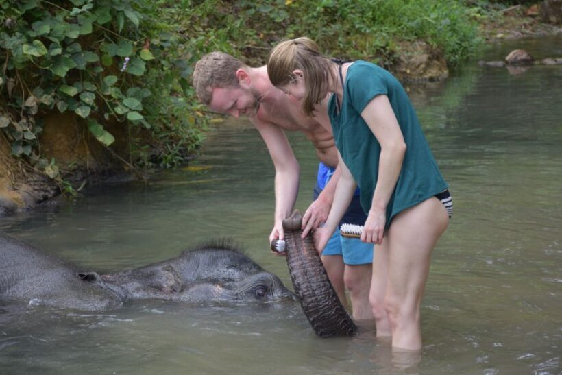 Krabi: Tour of Elephant Care House and Tiger Cave Temple - FAQ