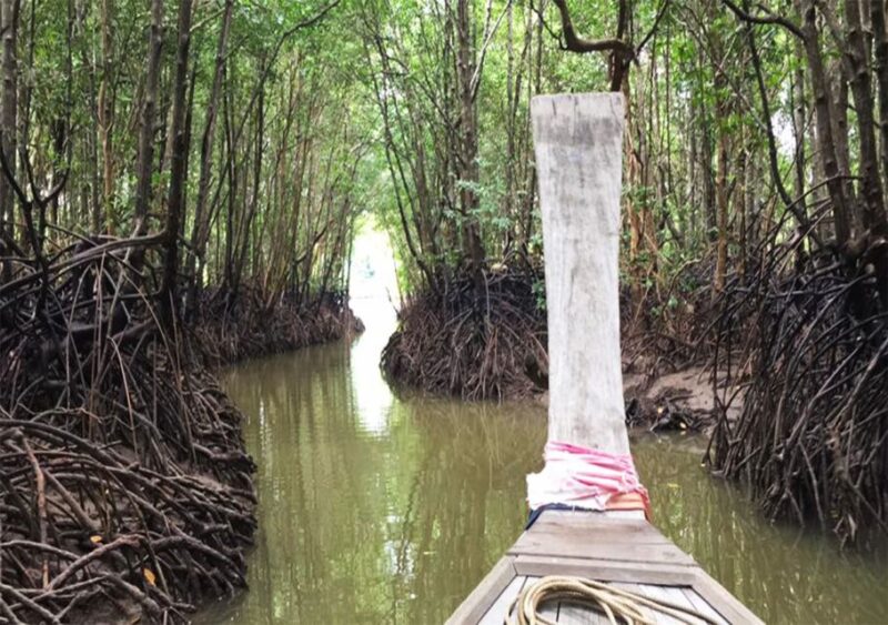 Krabi: Twin Mountains & Koh Klang Local Community Tour - Final Words