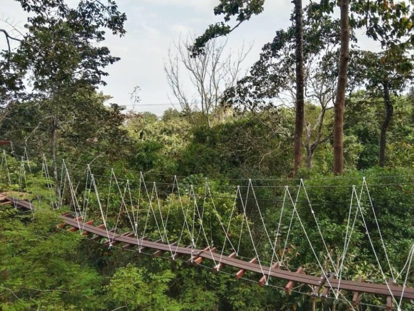 Krabi Zipline adventure - The Value and Pricing