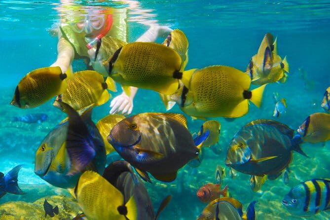 Krabi's Hidden Gem: Hong Island Tour by Longtail boat - FAQ