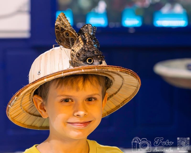 Krakow: 4 Mazes and Living Butterfly Museum Entry Ticket - Who Will Enjoy This Tour?