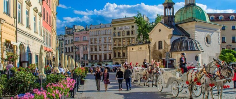 Krakow and Auschwitz Small-Group Tour from Warsaw with Lunch - Who Should Consider This Tour?