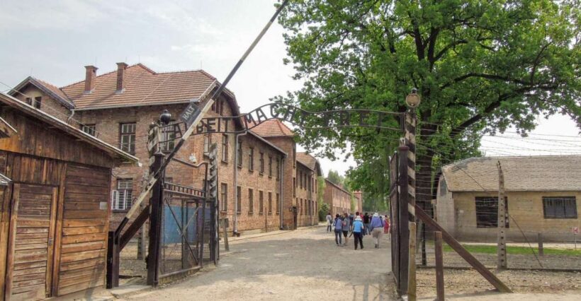 Krakow: Auschwitz and Wieliczka Salt Mine Combo Tour - What to Expect from the Tour