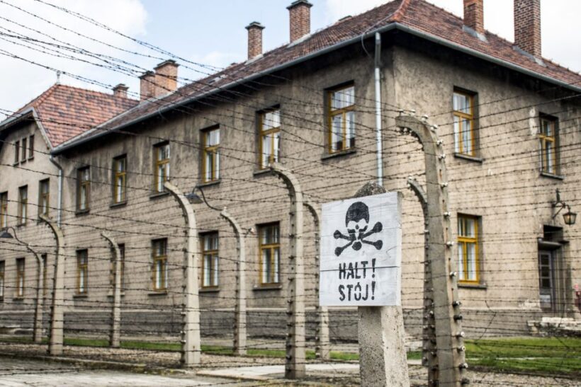 Krakow: Auschwitz-Birkenau and Salt Mine Guided Tour - Who Will Get the Most Out of This Experience?