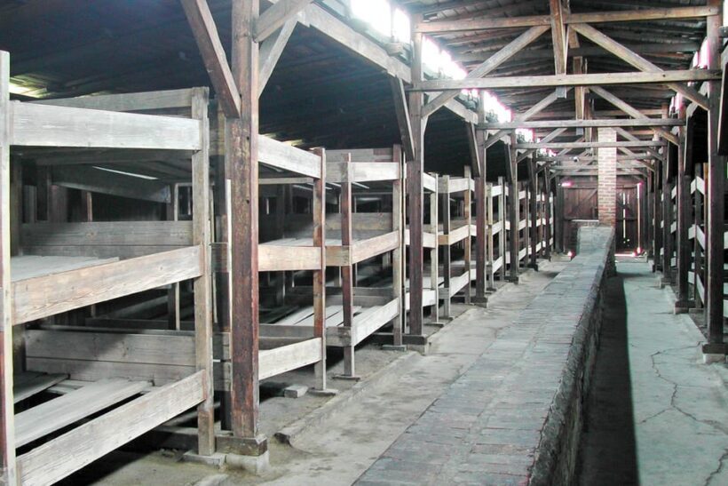 Krakow: Auschwitz-Birkenau Day Trip with Tour Leader - Introduction