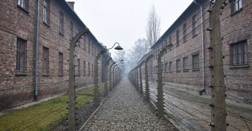Krakow: Auschwitz-Birkenau Day Trip with Tour Leader - Who This Tour Is Best For