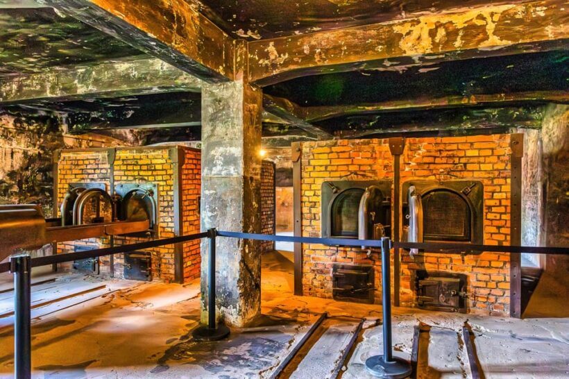 Krakow: Auschwitz-Birkenau Guided Tour and Private Transport - A Respectful and Well-Organized Journey