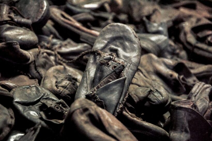 Krakow: Auschwitz-Birkenau Guided Tour Pickup/Lunch Options - The Sum Up