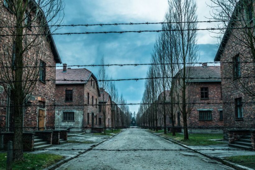 Kraków: Auschwitz-Birkenau & Salt Mine Full-Day Guided Tour - Final Thoughts