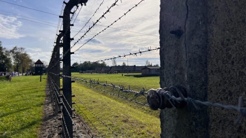 Krakow: Auschwitz-Birkenau & Wieliczka Salt Mine with Lunch - The Sum Up
