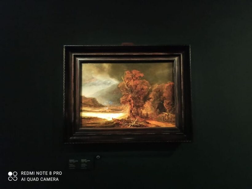 Krakow: Czartoryski Museum Guided Tour in English - What to Expect from the Tour