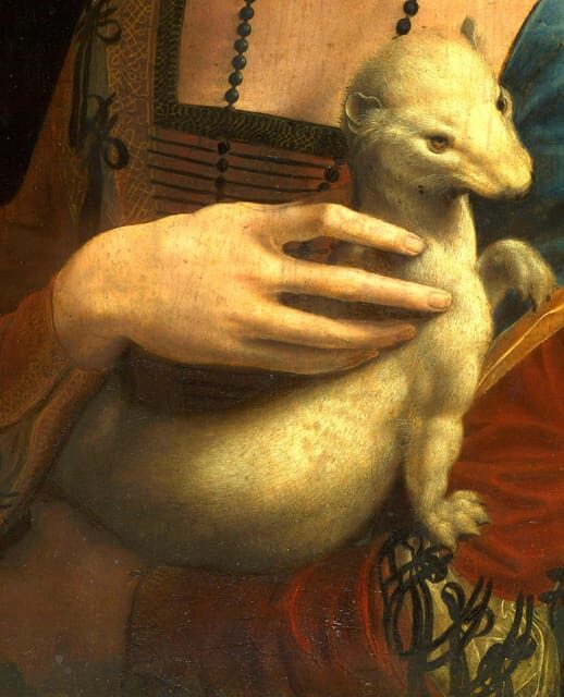 Krakow: Czartoryski Museum Guided Tour in English - Accessibility and Booking Flexibility