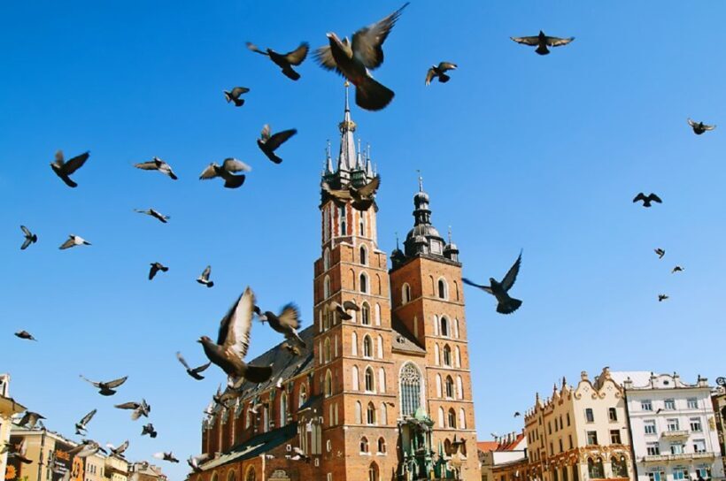 Krakow: full day private tour from Warsaw - The Sum Up: Is This Tour Right for You?