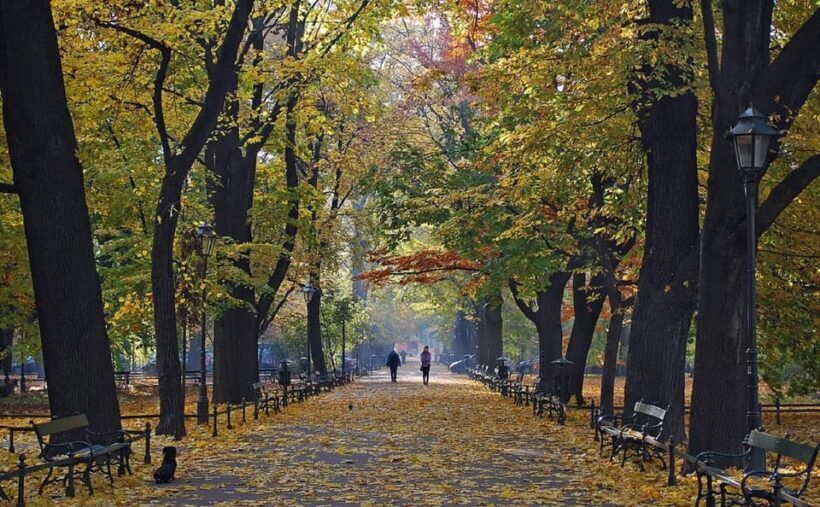 Krakow: Old Town "Royal Route" Walking Tour - What Makes This Tour Stand Out