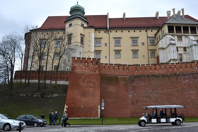 Krakow: Private Guided City Tour by Electric Car - Accessibility and Participation