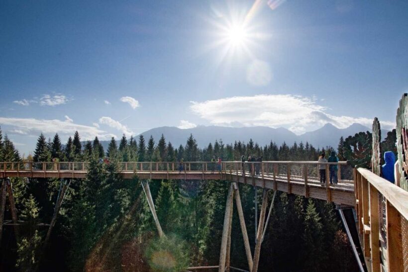 Krakow: Slovakia Treetop Walk & Zakopane Tour (Hotel Pickup) - Key Points