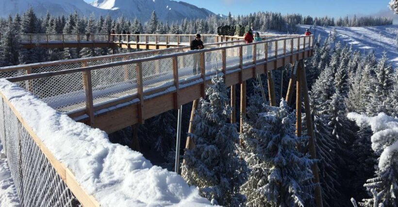 Krakow: Slovakia Treetop Walk & Zakopane Tour (Hotel Pickup) - Authentic Insights from Travelers
