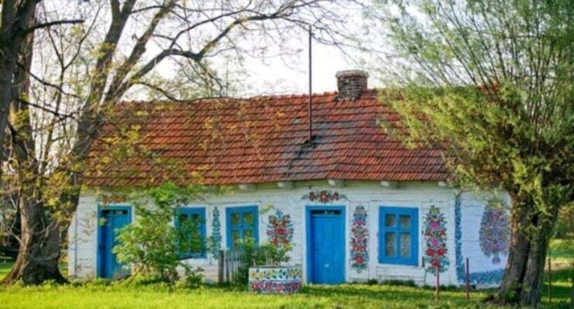 Krakow: Tour to Zalipie and Tarnow - Who Will Love This Tour?