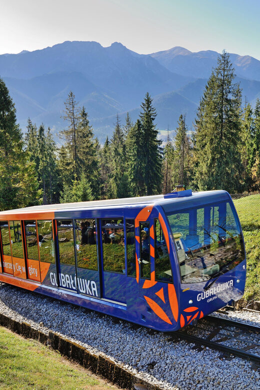 Krakow: Zakopane Private Tour with Chauffeur - Who Will Love This Tour?
