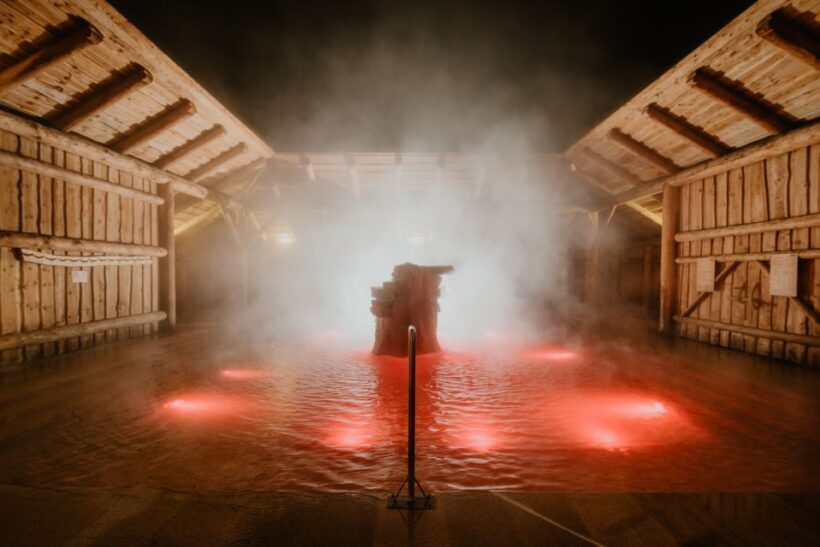 Krakow: Zakopane, Thermal Baths and Gorce Park Treetop Walk - Key Points