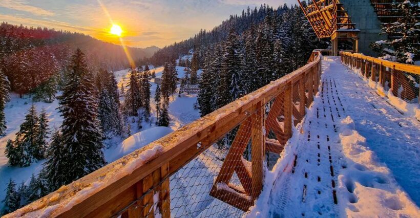 Krakow: Zakopane, Thermal Baths and Gorce Park Treetop Walk - An In-Depth Look at the Experience
