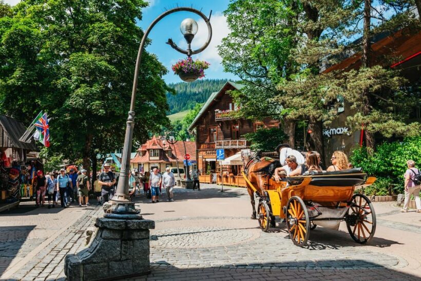 Krakow: Zakopane Tour with Thermal Baths, Cable Car & Pickup - Who Should Book This Tour?