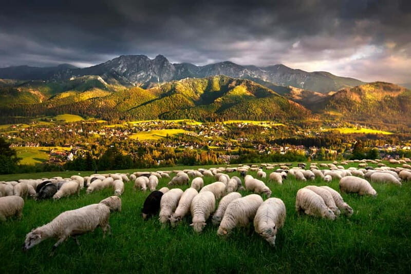 Krakow: Zakopane Trip with Thermal Pools & Hotel Pick-up - A Full Breakdown of the Zakopane Day Trip