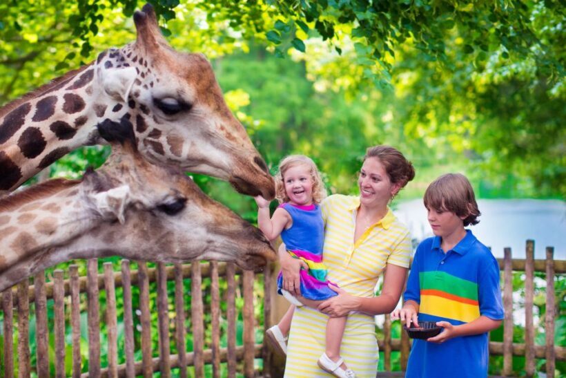 Krakow: Zoo Tour with Private Transport and Tickets - A Closer Look at the Krakow Zoo Tour