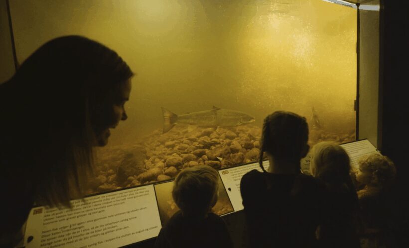 Kristiansand: Wild Salmon Center Guided Tour with Bus Ride - Who Will Love This Tour?