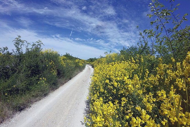Krka Nationa park by electric bike - The Sum Up