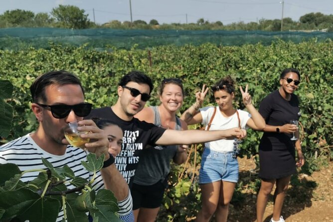 Krka waterfalls from Split - transfer and lunch INCLUDED - Practical Details and What It Means for You