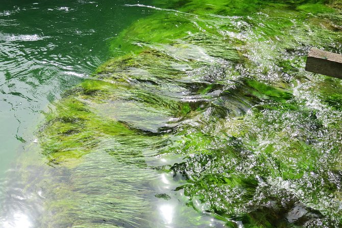 Krka waterfalls luxury tour for singles or couples - The Sum Up