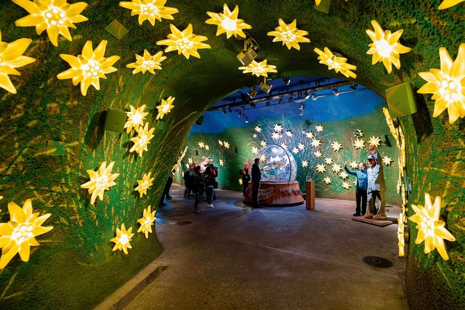 (KTL364) - Small group tour Jungfrau and Interlaken from Lausanne - Transportation and Logistics