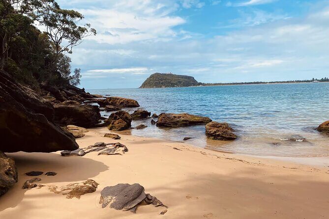 Ku ring gai National Park Hike with Beach and Picnic - What We Love About It