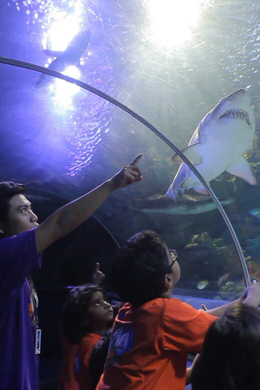 Kuala Lumpur: Aquaria KLCC Entry Ticket - Key Points