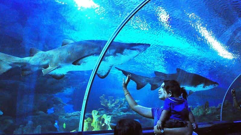 Kuala Lumpur: Aquaria KLCC Entry Ticket - FAQ