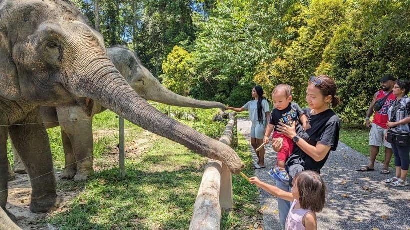 Kuala Lumpur: Batu Caves & Kuala Gandah Elephant Sanctuary - Who Will Appreciate This Tour?
