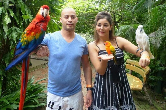 Kuala Lumpur Bird Park & Butterfly Farm Tour - The Practical Side: Transportation, Price, and Timing