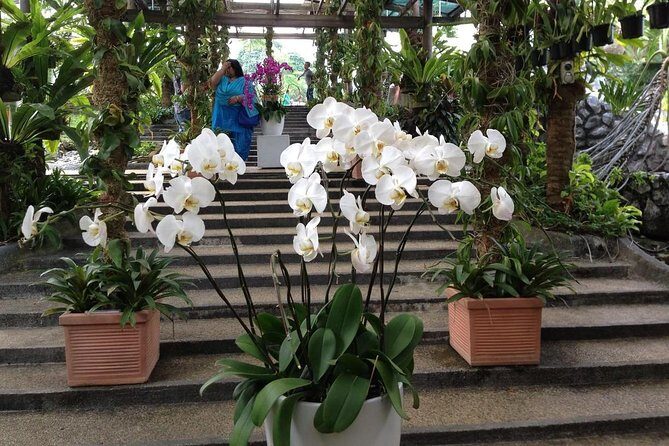 Kuala Lumpur Bird Park & Butterfly Farm Tour - FAQ