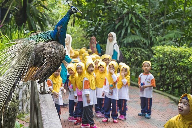 Kuala Lumpur Bird park & Butterfly Farm Tour Include Tickets - Final Thoughts on Value & Suitability