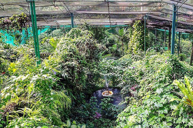 Kuala Lumpur Bird park & Butterfly Farm Tour Include Tickets - FAQs