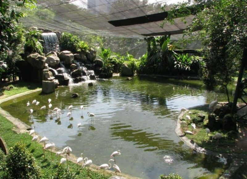 Kuala Lumpur: Bird Park, Butterfly & Garden Private Tour - Exploring Kuala Lumpur’s Green Gems