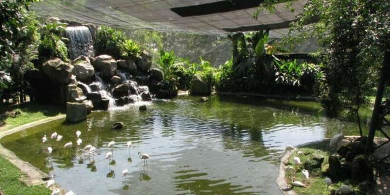 Kuala Lumpur: Bird Park, Butterfly & Garden Private Tour - Authentic Experiences and What You’ll Love