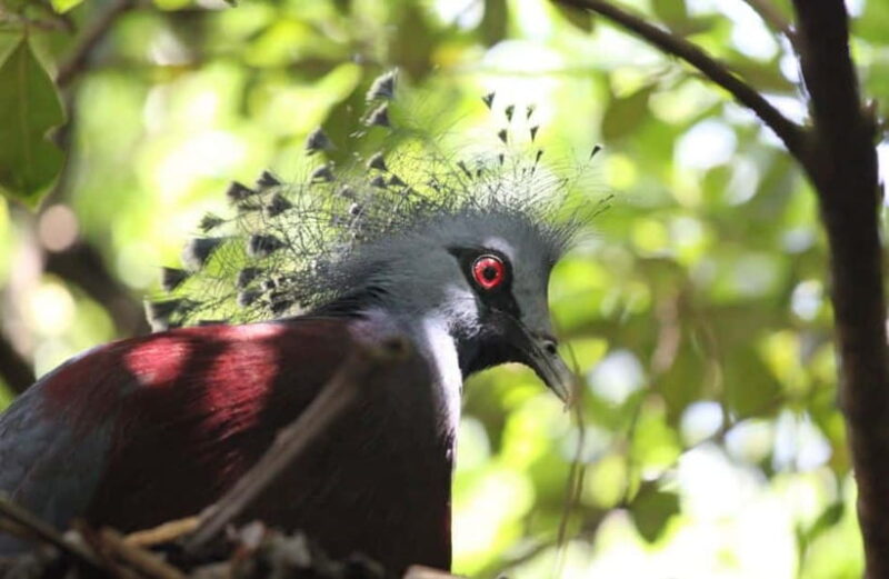 Kuala Lumpur: Bird Park, Butterfly & Garden Private Tour - Frequently Asked Questions