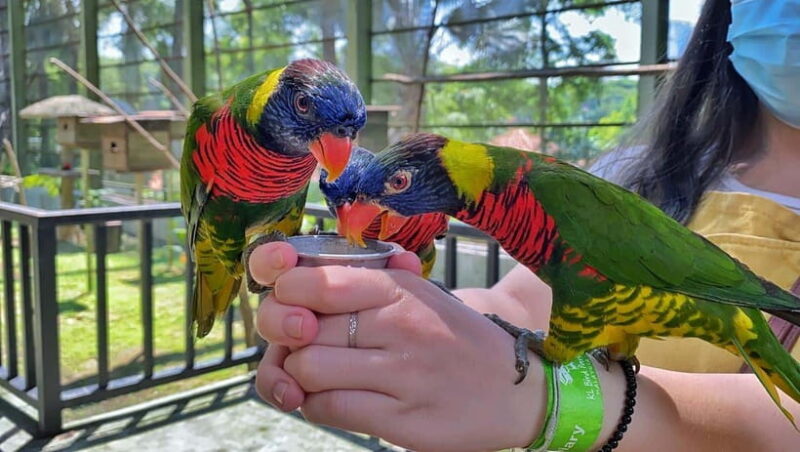 Kuala Lumpur: Bird Park Day Ticket & 1-Way Transfer - FAQ