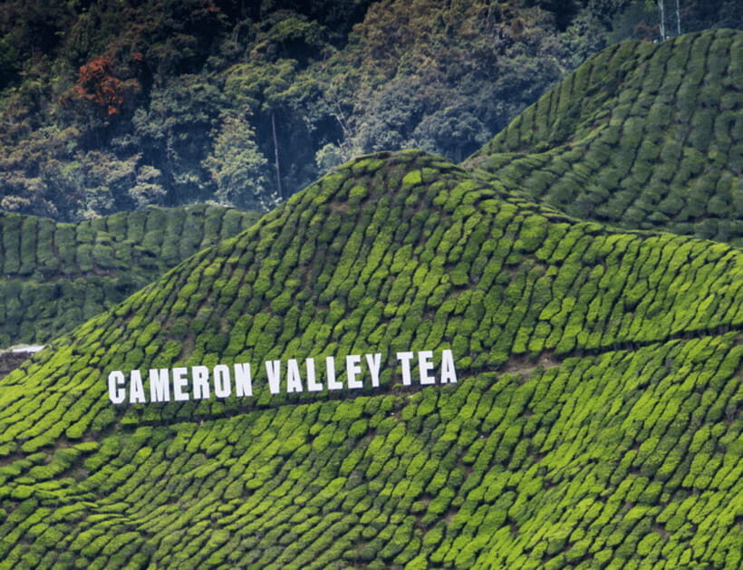 Kuala Lumpur: Cameron Highlands, Batu Caves Private Day Trip - FAQ