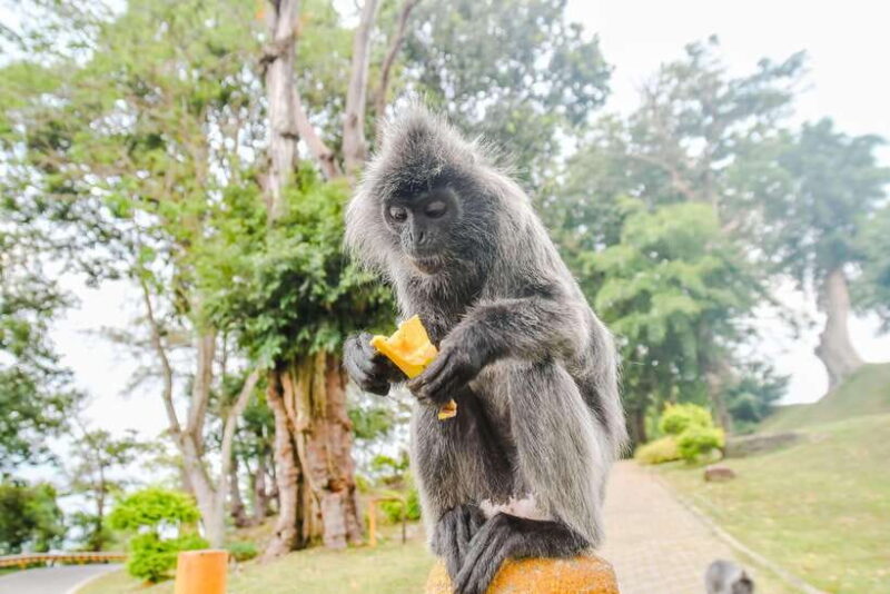 Kuala Lumpur: City Sights, Batu Caves and Fireflies Day Trip - Key Points