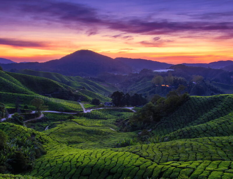 Kuala Lumpur: Customize Your Cameron Highlands Itinerary - Full Breakdown of the Experience