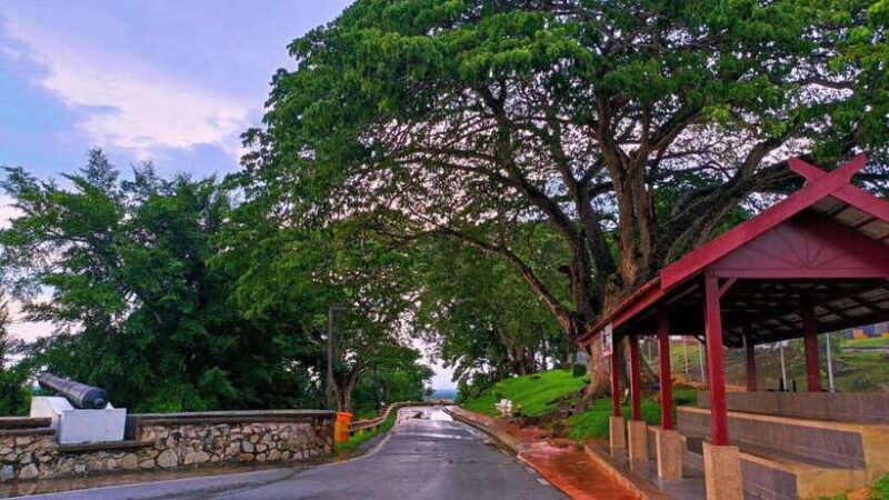 Kuala Lumpur: Fireflies & Blue Tears Tour with Seafood Meal - Transportation and Comfort